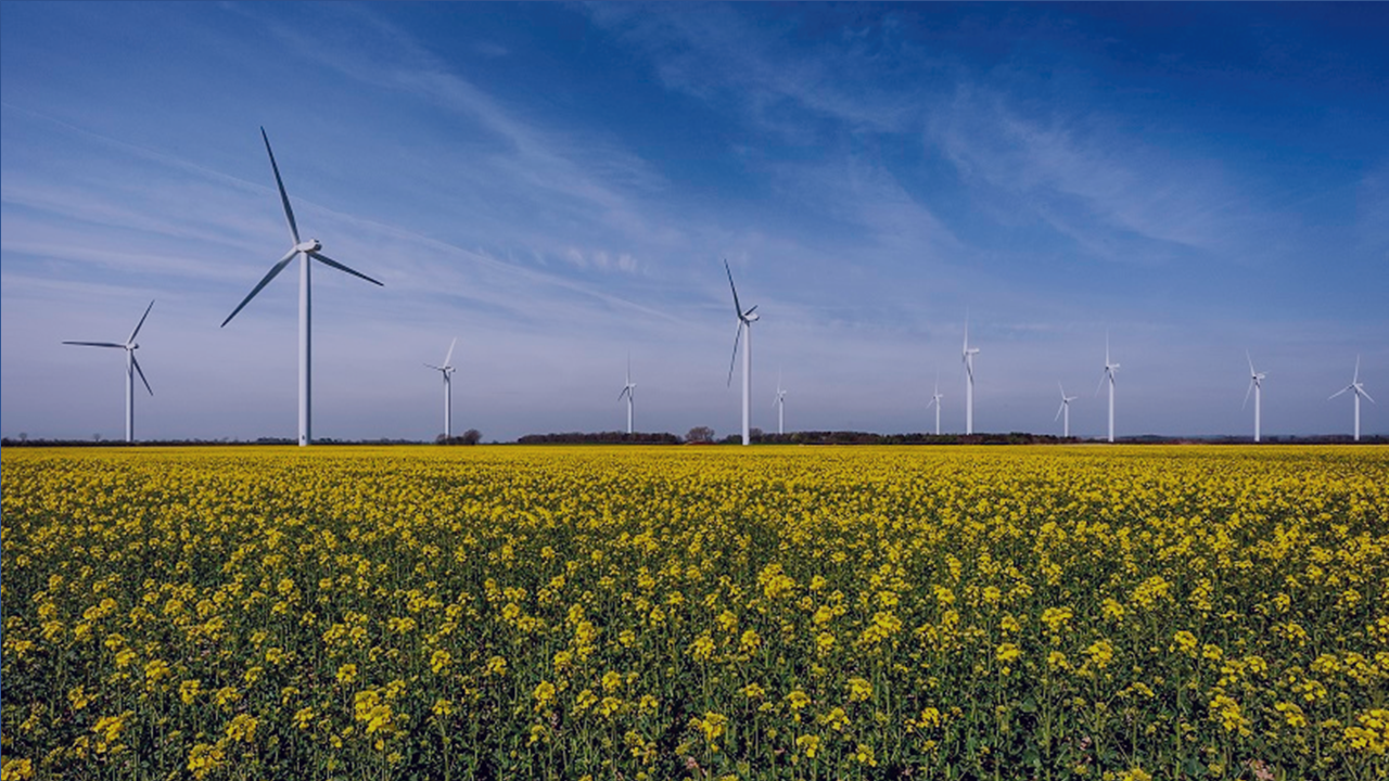 Sustainability at Athora | Athora