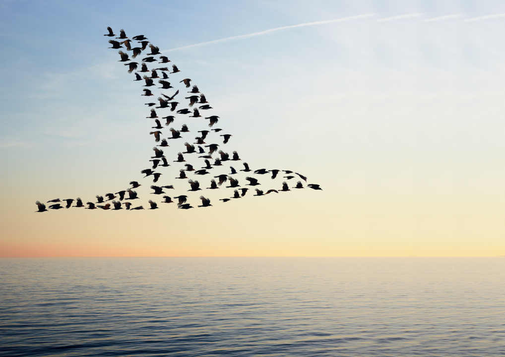 Athora Belgium completes acquisition of a closed-book life insurance ...